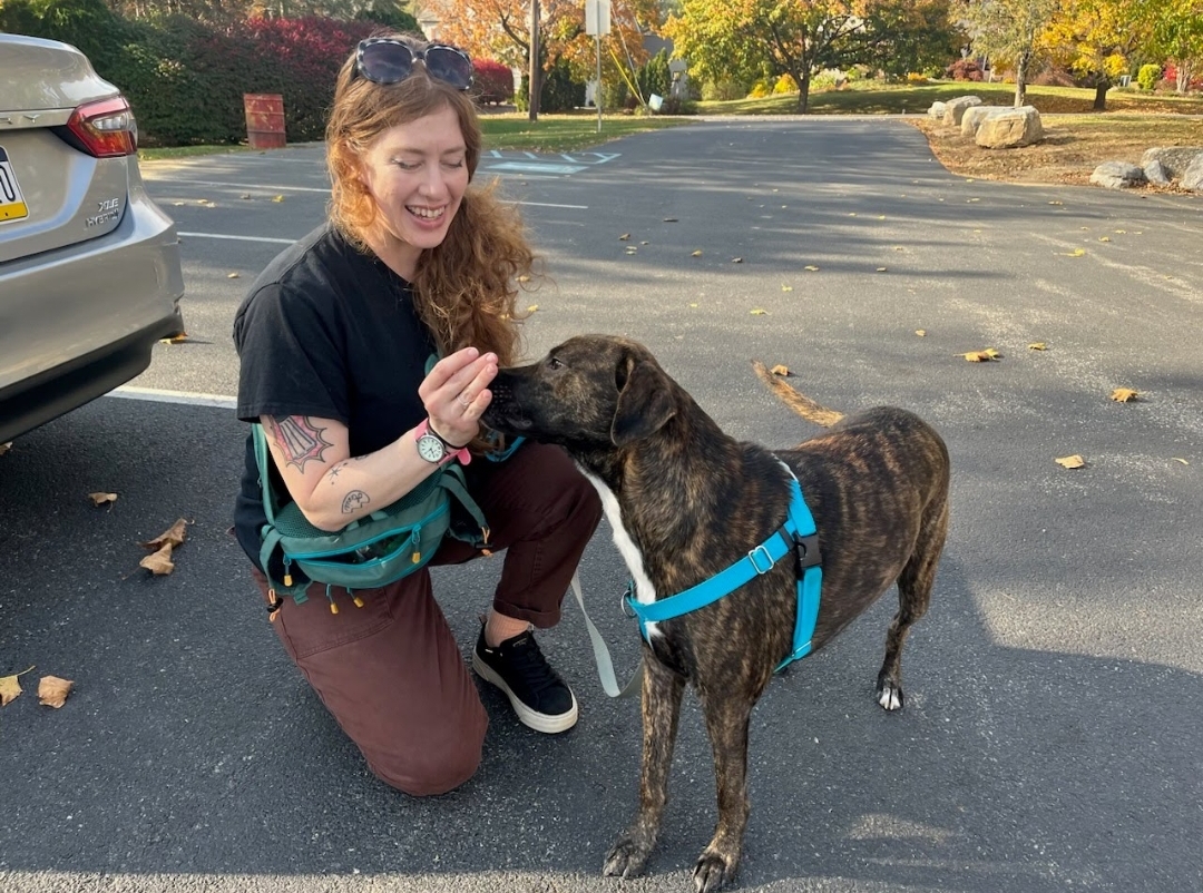 About Us - Cerberus Dog Training